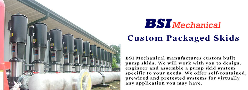 skids-1 > BSI Mechanical, Inc.